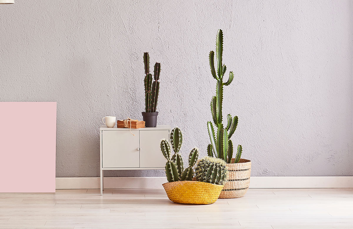 Boxed Home – Assemble